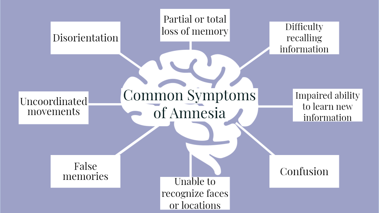 Amnesia Cerebral Amnesia Cerebral