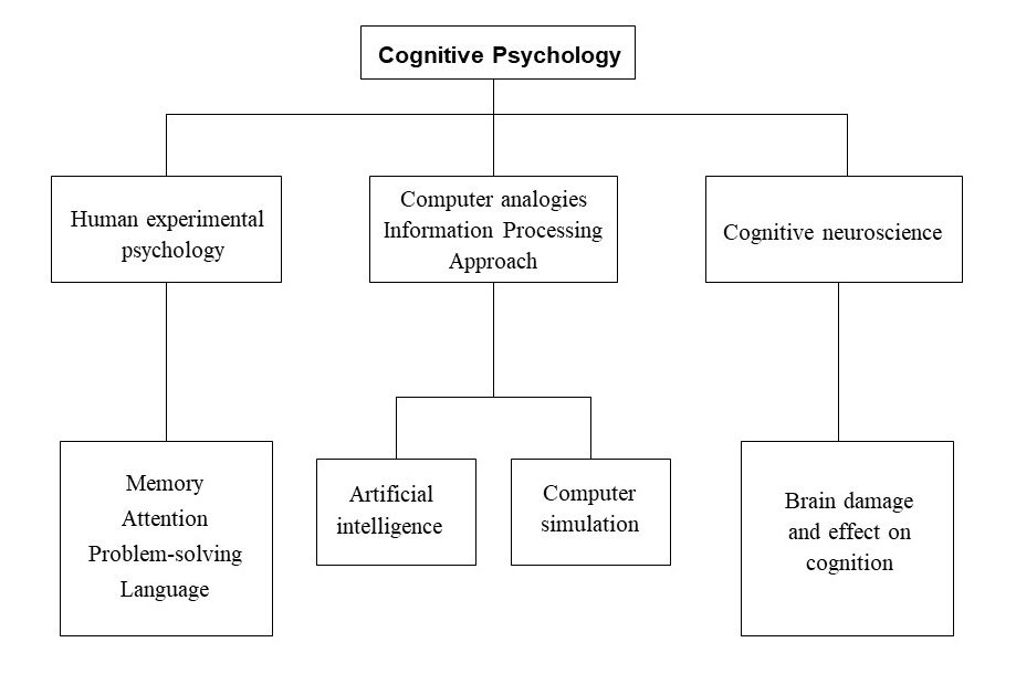 Cognitive Approach In Psychology Simply Psychology
