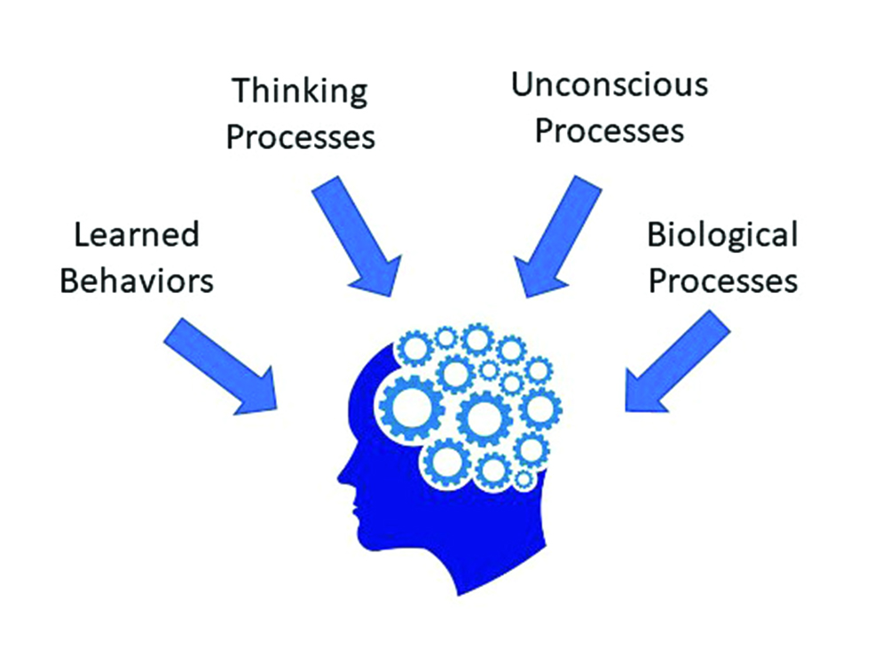 Perspectives In Psychology Theoretical Approaches 