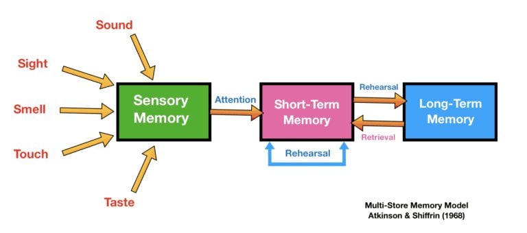 Cognitive Approach In Psychology