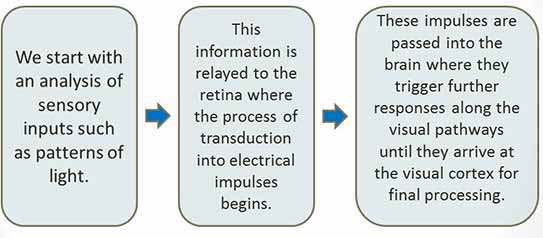 Top Down Processing Psychology Top Down Processing Psychology