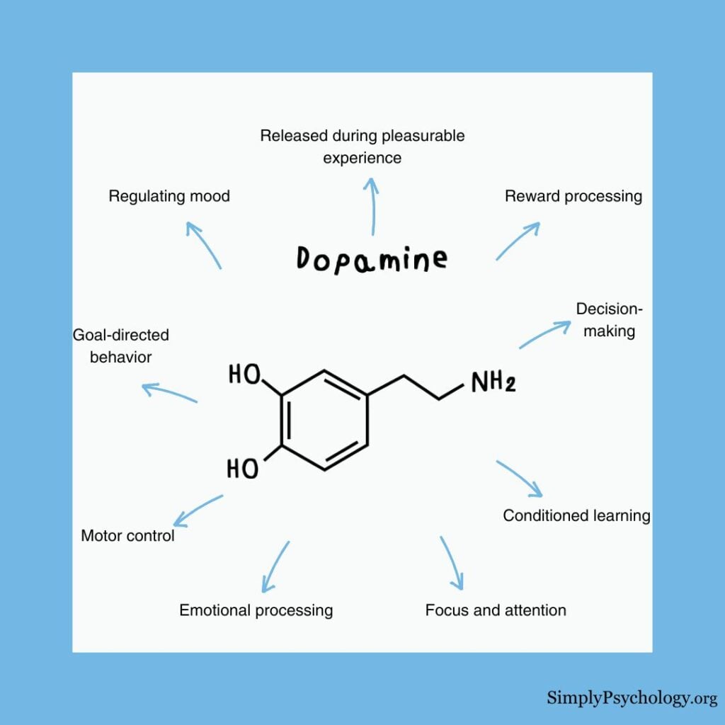 What Is Dopamine In The Brain