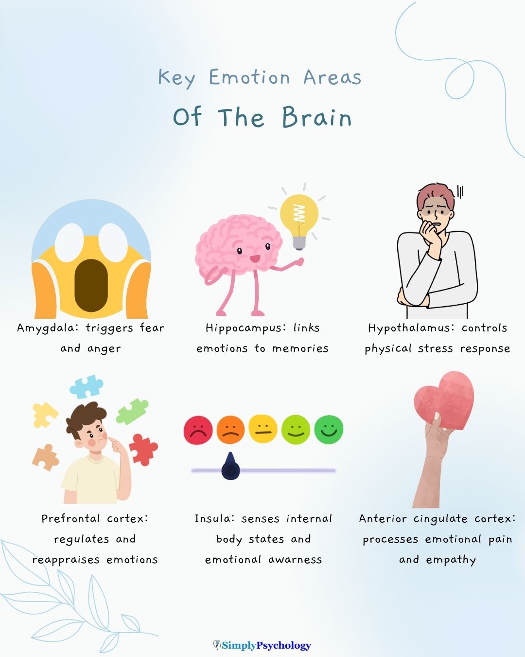 Which Part Of The Brain Controls Emotions 