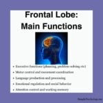 Biopsychology: Studying the Brain and Behavior