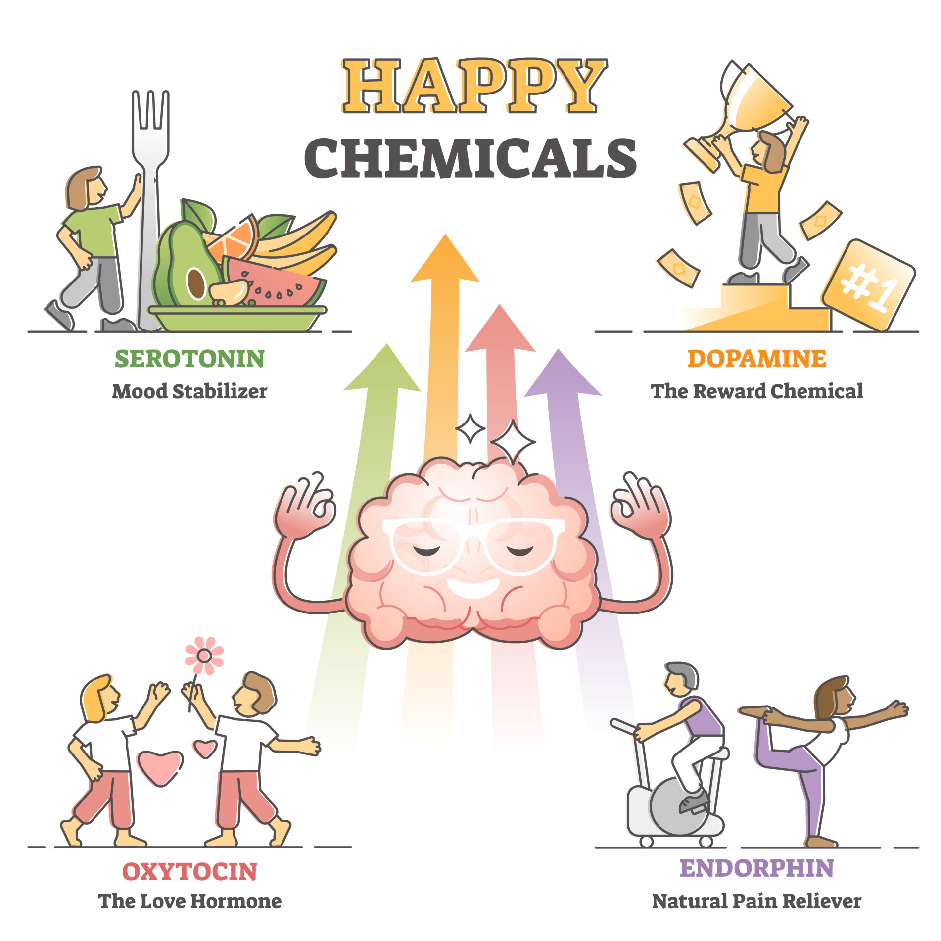 Serotonin Vs Dopamine What Are The Differences Serotonin Vs Dopamine What Are The Differences
