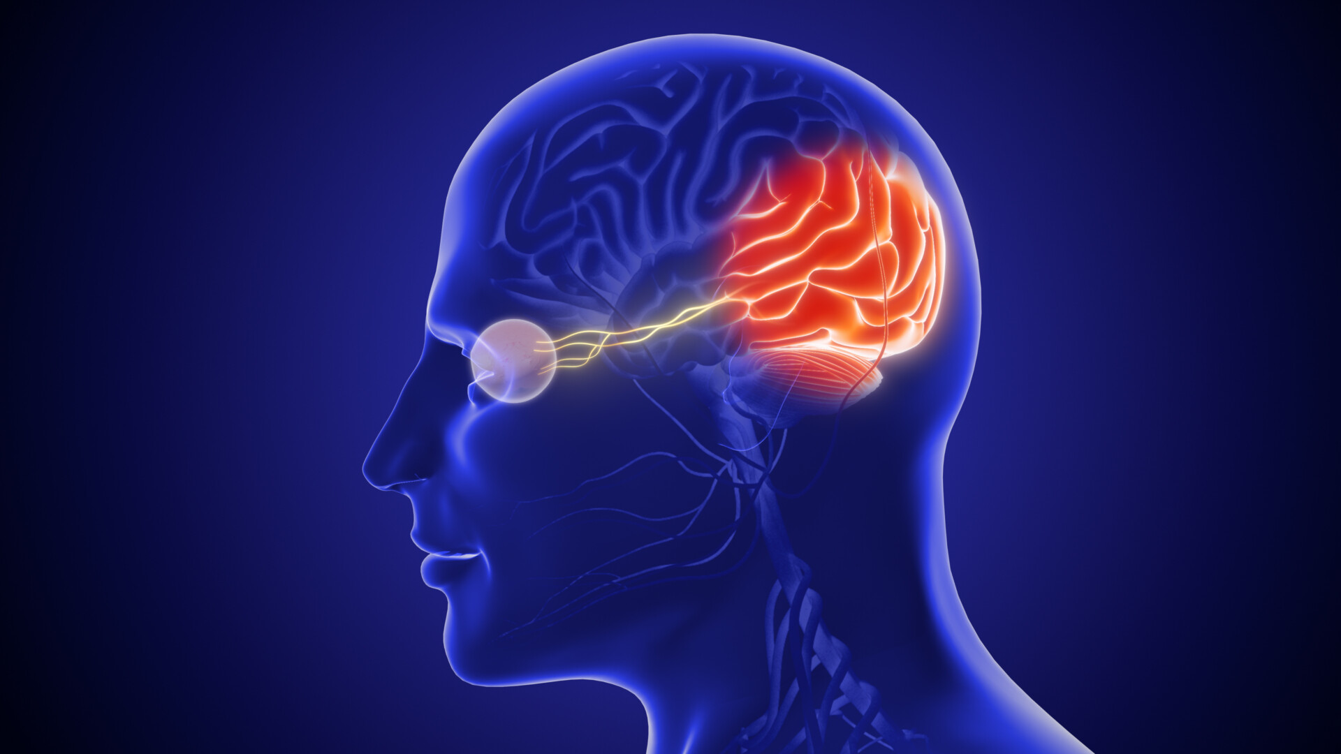 Inattentional Blindness In Psychology