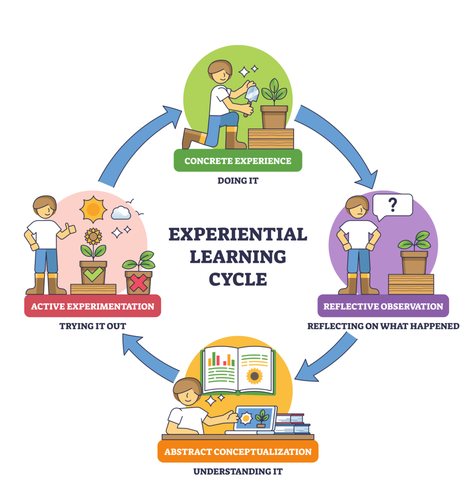 Kolb's Learning Styles & Experiential Learning Cycle