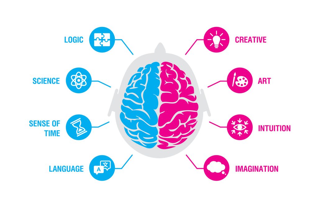 Left Brain Vs Right Brain Hemisphere Function