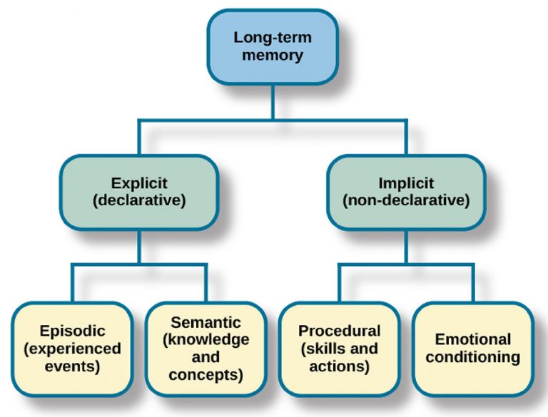 Human Memory How Memory Works