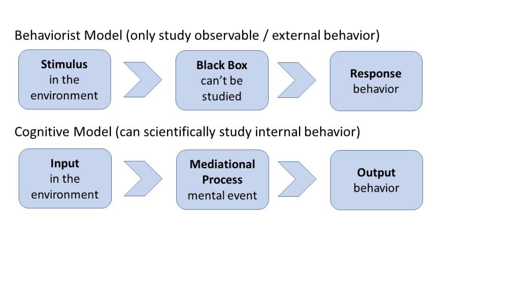 Latent Learning In Psychology And How It Works Latent Learning In Psychology And How It Works