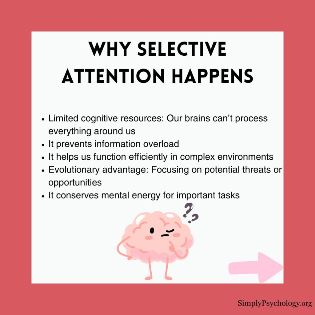 Selective Attention Theory: Broadbent & Treisman's Attenuation Model