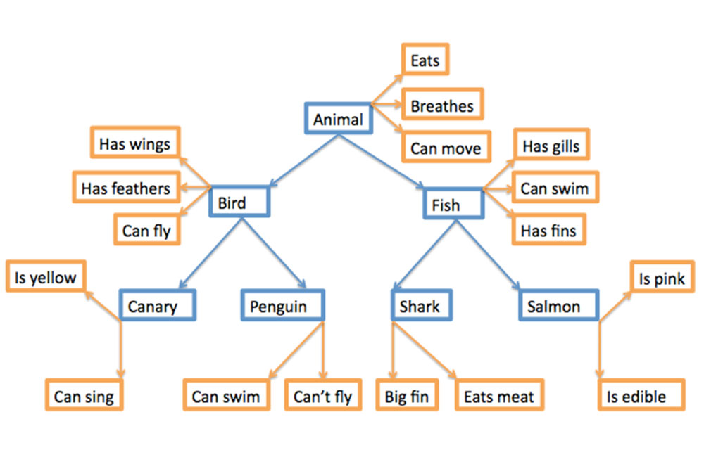 Semantic Network Model Of Memory