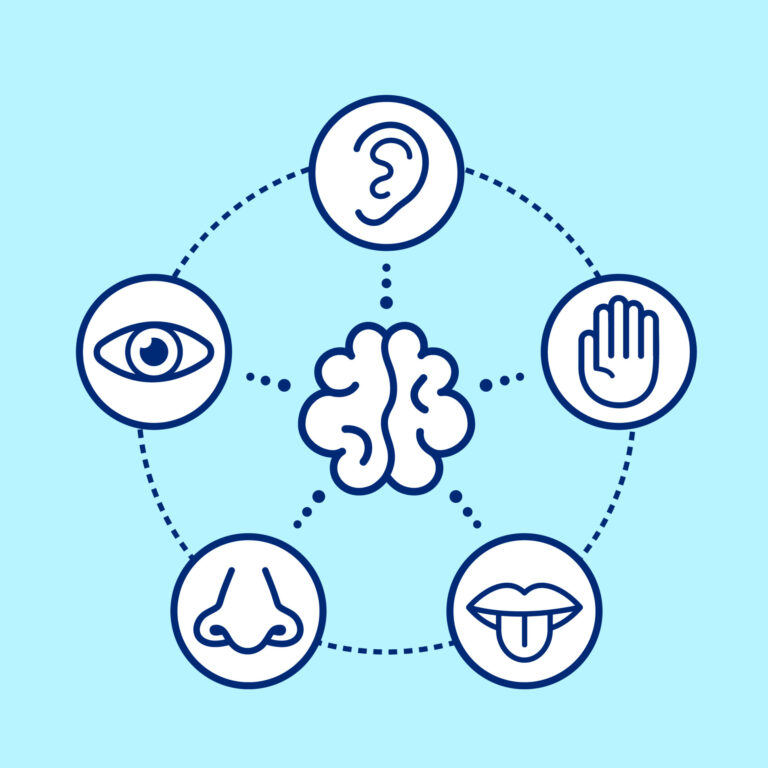 Sensory Memory In Psychology Definition Examples Sensory Memory In Psychology Definition Examples
