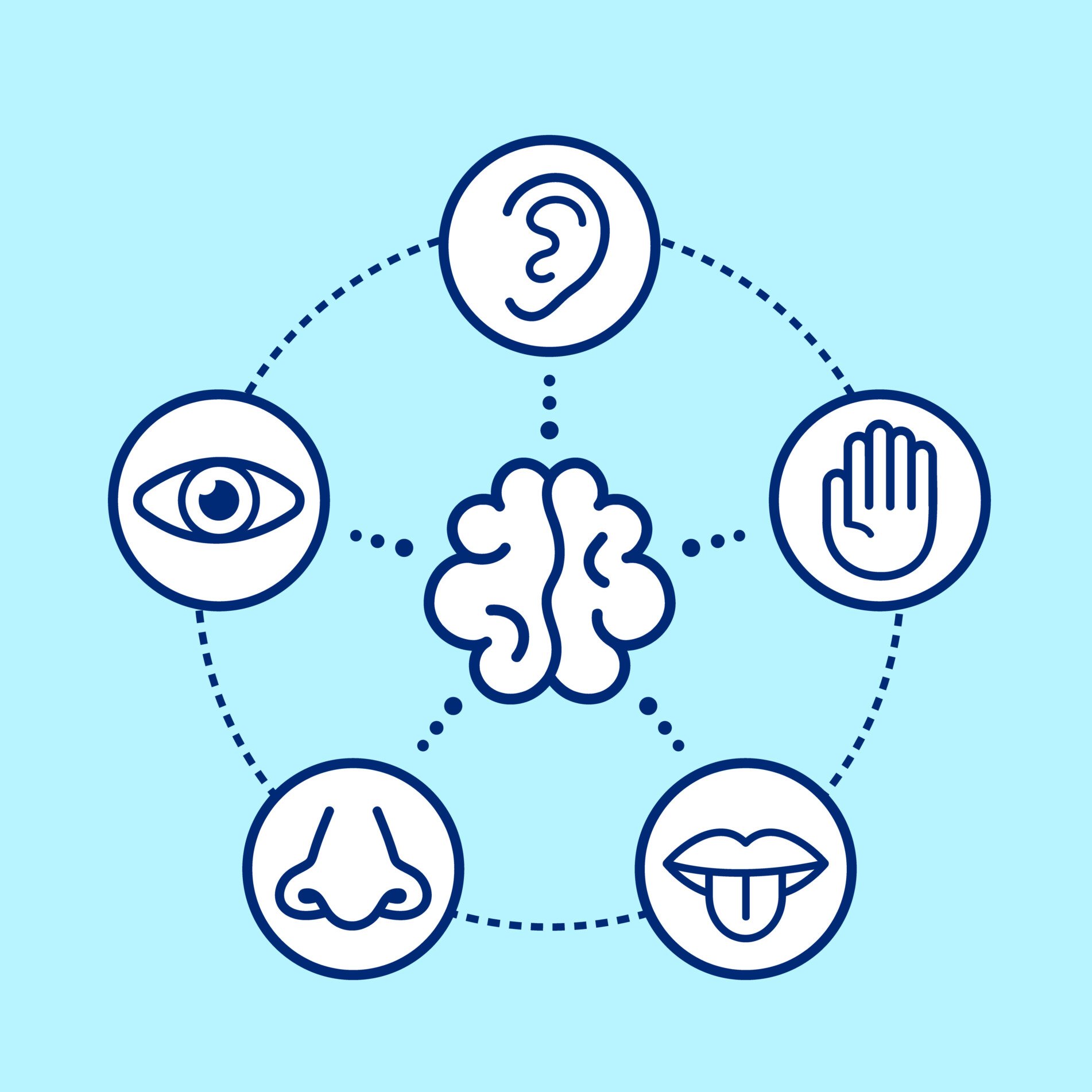 Sensory Memory In Psychology Definition Examples