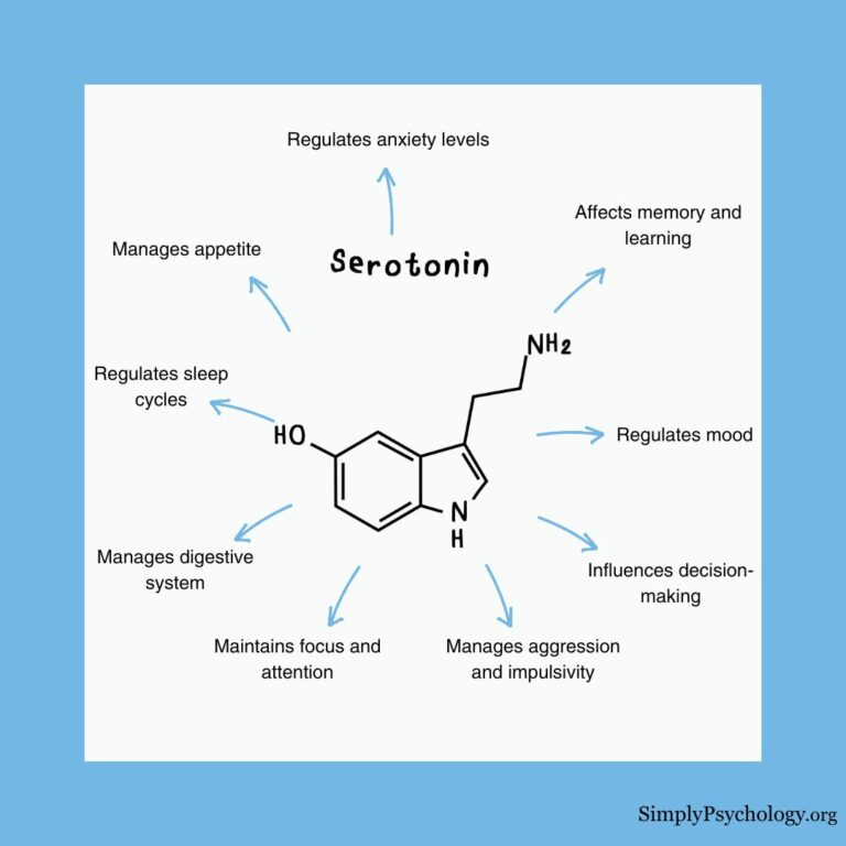 What Does Serotonin Do?