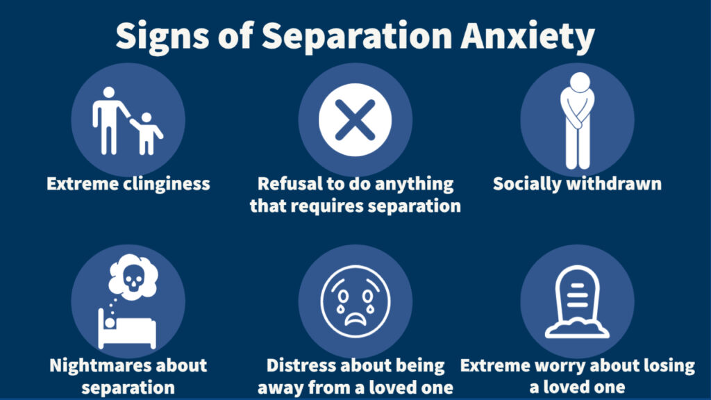 Separation Anxiety Discover The Signs Causes Effective Treatments