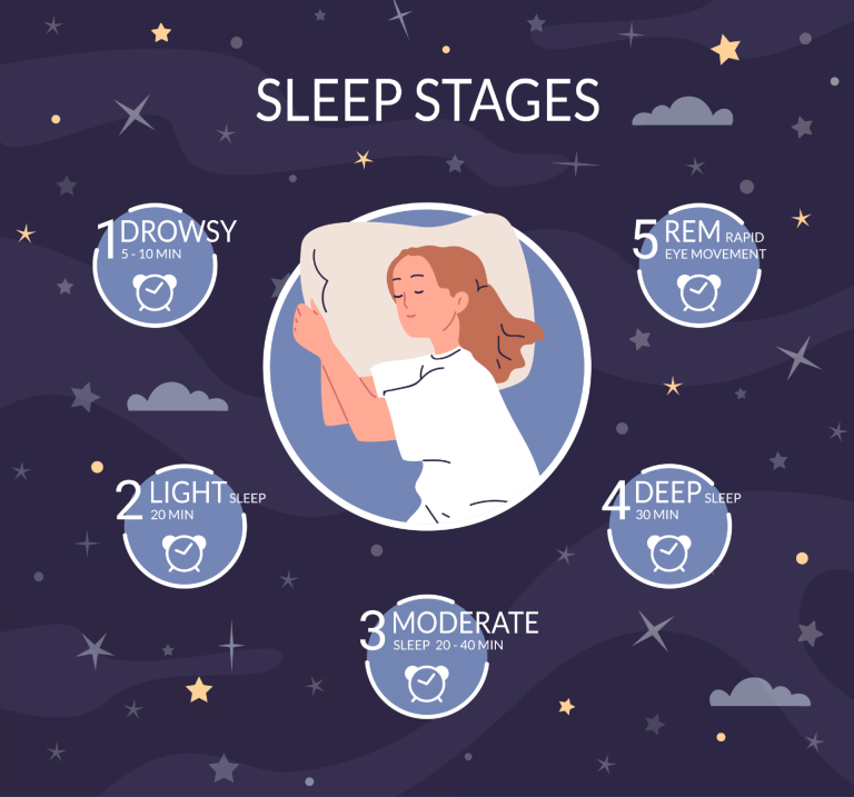 5 Stages of Sleep: Psychology, Cycle & Sequence