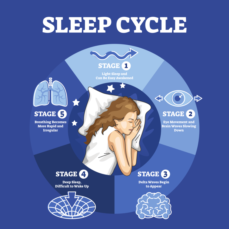 5 Stages of Sleep: Psychology, Cycle & Sequence