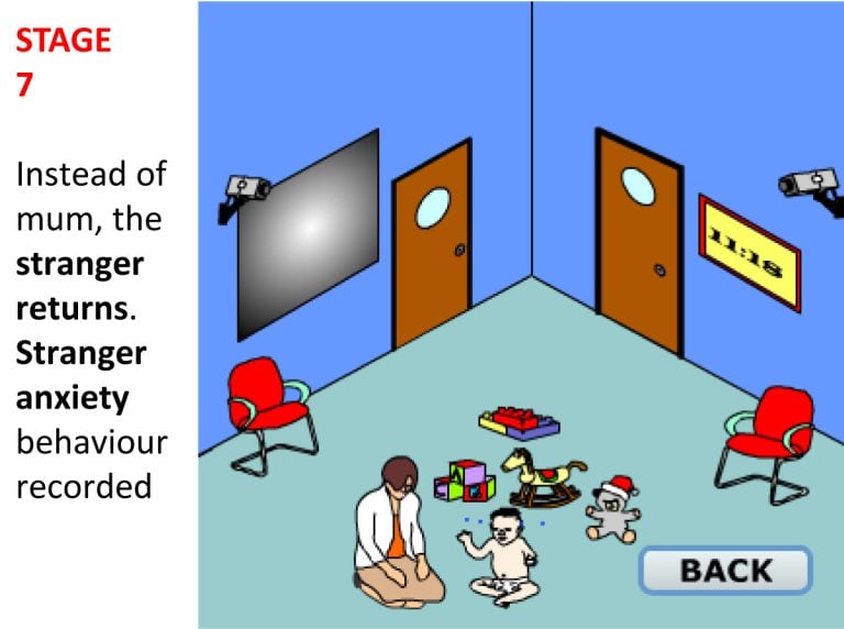 Mary Ainsworth Strange Situation Experiment