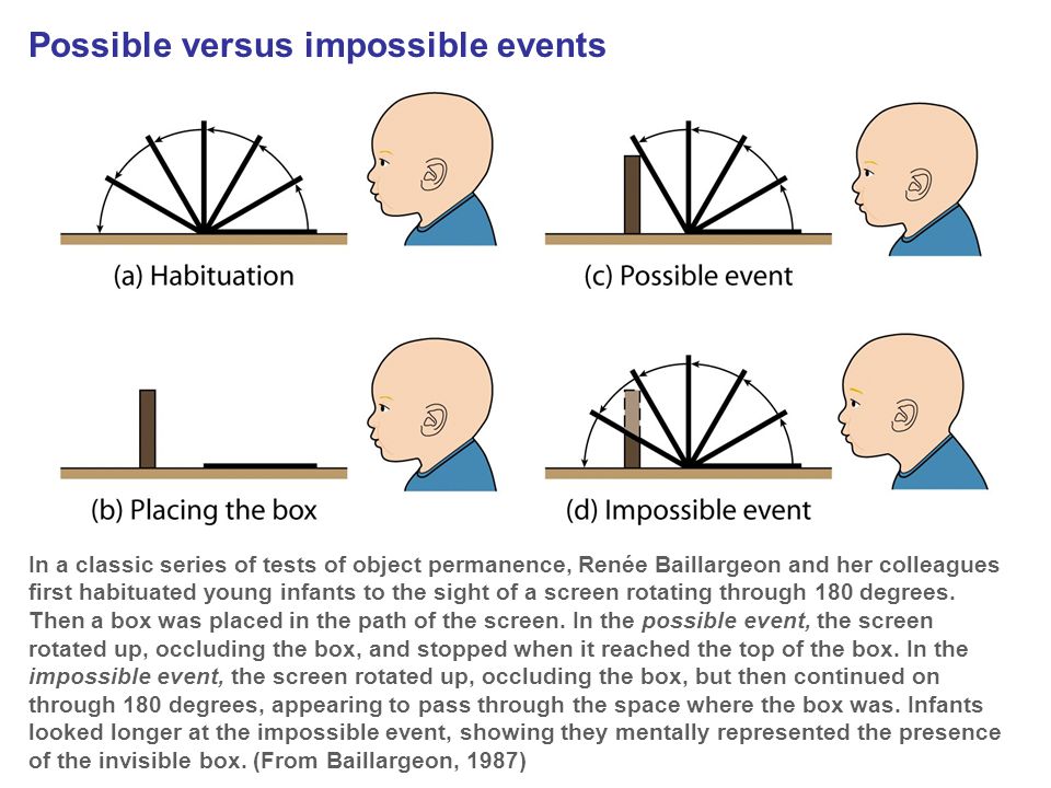 Piaget Experiment