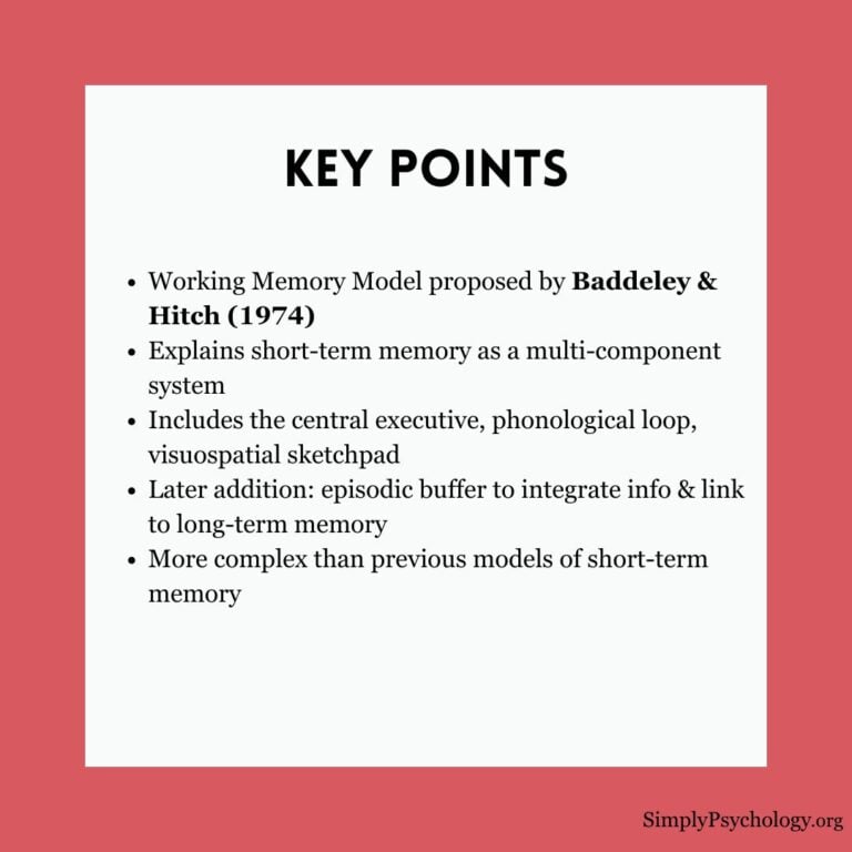 Working Memory Model