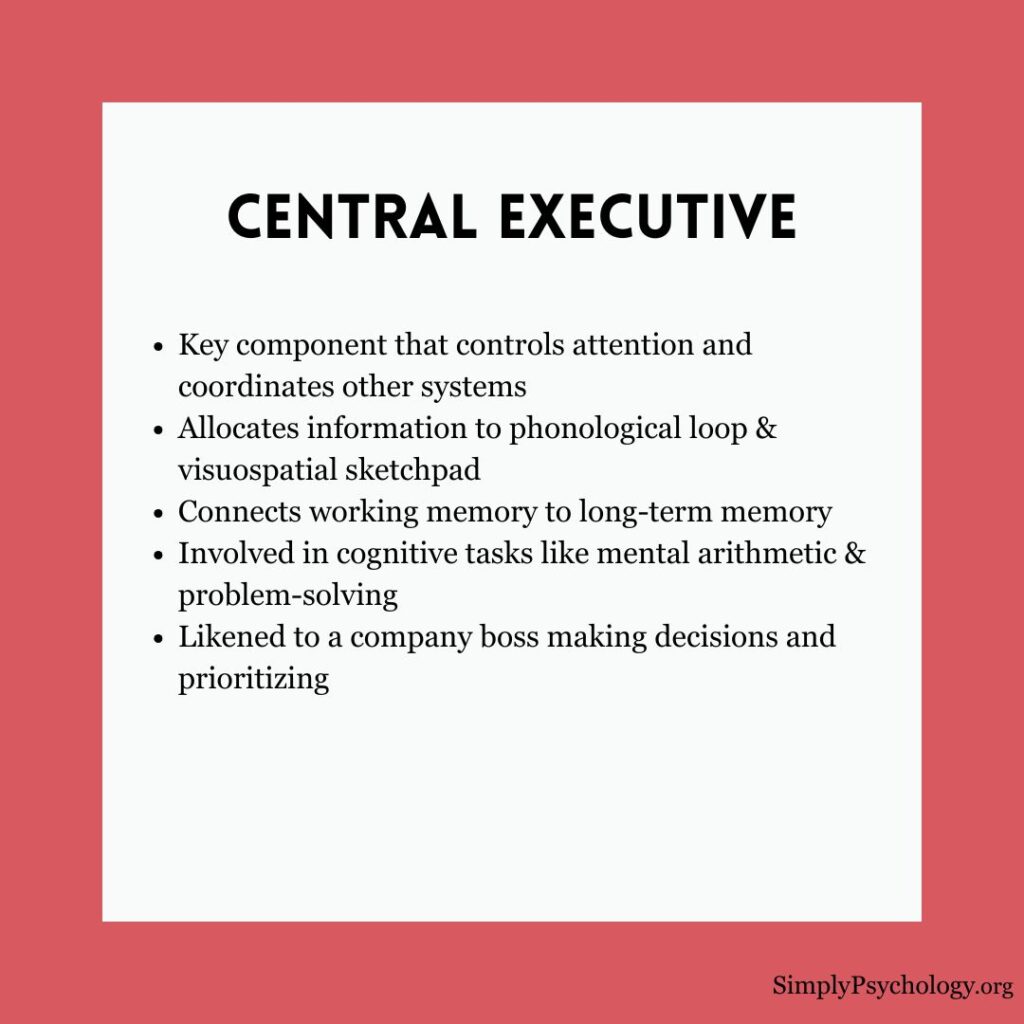 Working Memory Model